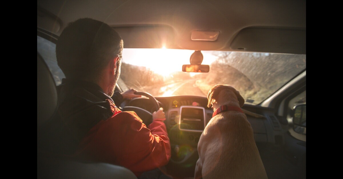 Lessons from a data scientist series: part four | Lytics